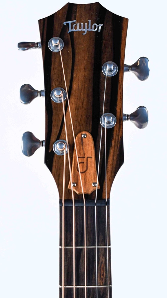 Taylor Jacob Collier Signature Model 5 String | The Fellowship of Acoustics